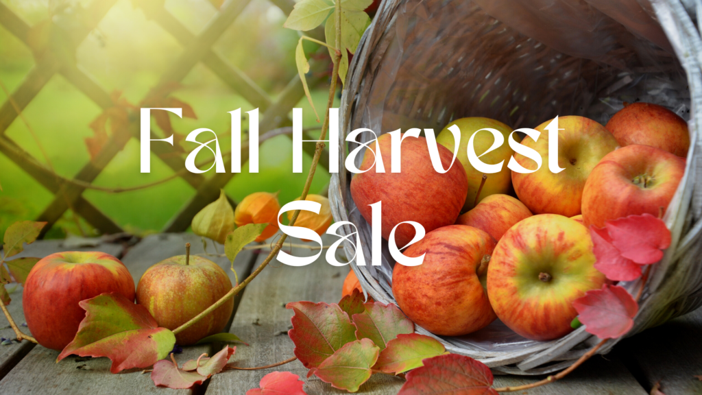 Casa Gregorio | Fall Harvest